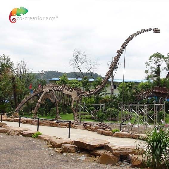 Sunproof Life Size Dinosaur Model Skeleton Mamenchisaurus Skeleton 15m