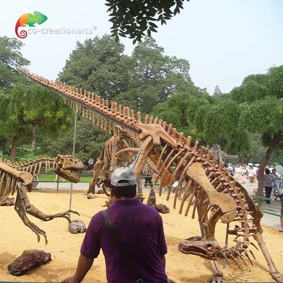 Park Decoration Dinosaur Fossil Replicas Life Size Tsintaosaurus ...