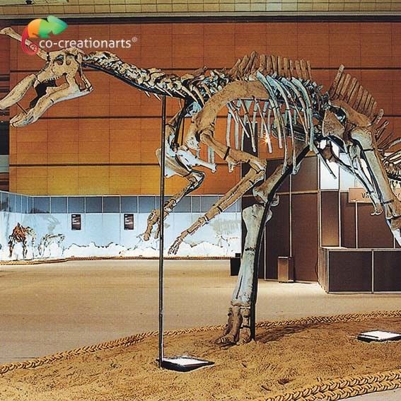 Park Decoration Dinosaur Fossil Replicas Life Size Tsintaosaurus ...