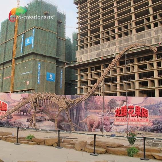 Sunproof Life Size Dinosaur Model Skeleton Mamenchisaurus Skeleton 15m