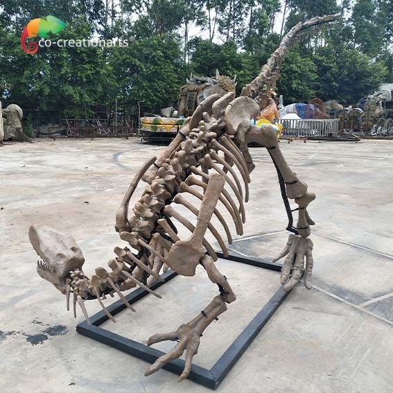 Fiberglass Real Size Gasosaurus Dinosaurs Skeleton Replicas for Museum ...