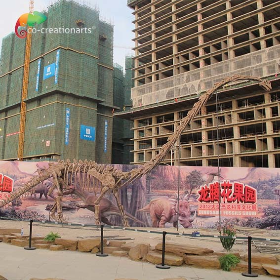 Sunproof Life Size Dinosaur Model Skeleton Mamenchisaurus Skeleton 15m